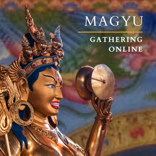 Teachings, Courses, & Retreats - Tara Mandala